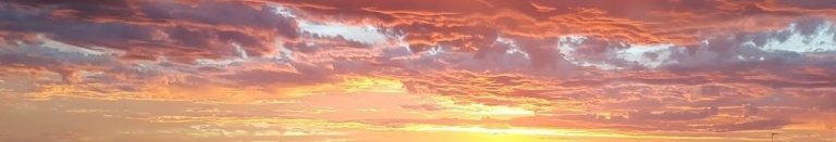 Persistent Right Aortic Arch (PRAA) - Canine-Megaesophagus: All About ME